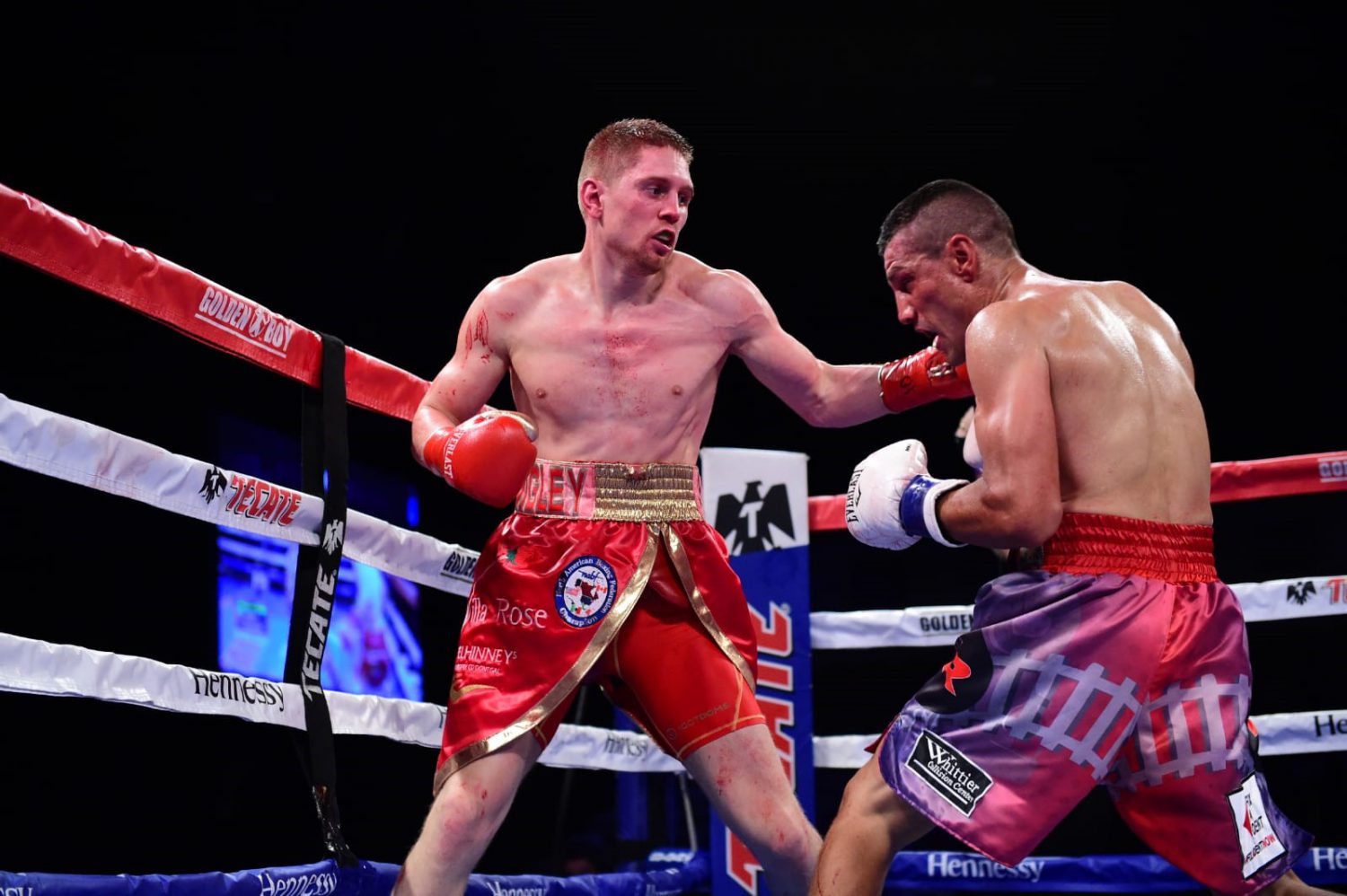 Jason Quigley Added To The Copper Box Arena Show - Matchroom Boxing